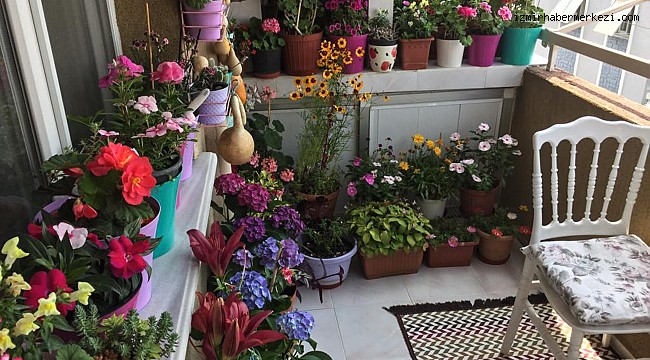 Buca’nın en güzel balkonu seçildi - Çevre - İzmir Haber Merkezi Buca’nın en güzel balkonu seçildi - Çevre - İzmir Haber Merkezi